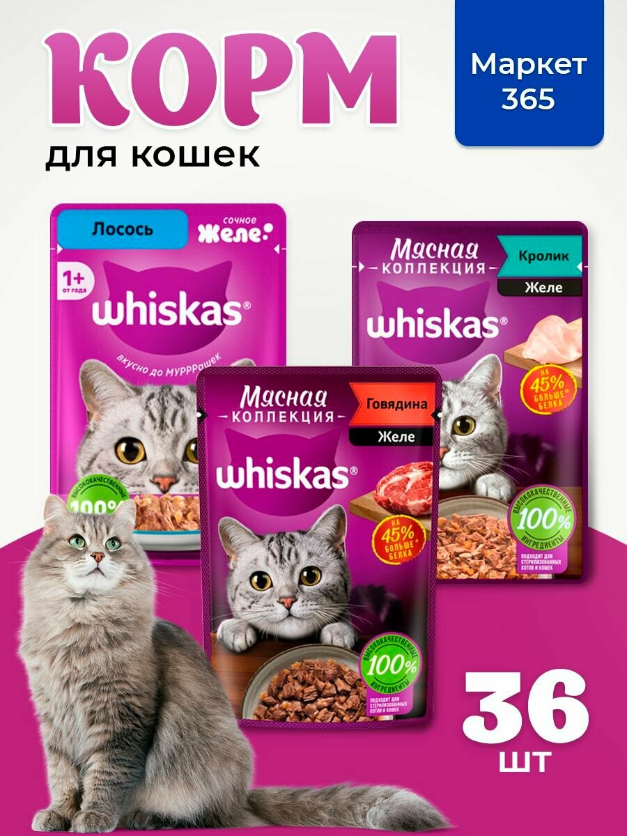 Корм для кошек влажный, Whiskas, набор три вкуса. Говядина, кролик, лосось. в желе. 36 шт х 75 г