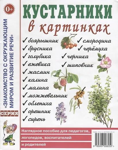 Кустарники в картинках. Наглядное пособие для педагогов, логопедов, воспитателей и родителей