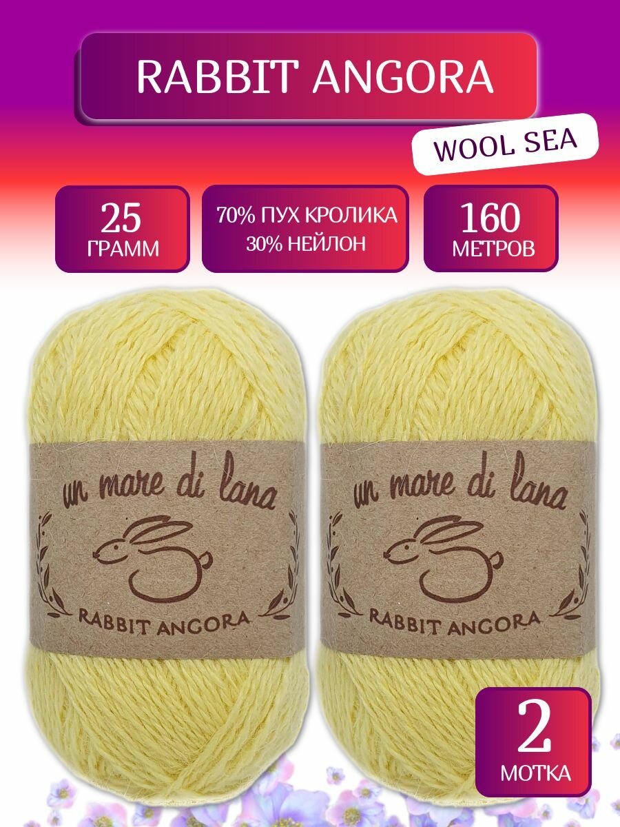 Пряжа Раббит Ангора Вул Си, Rabbit Angora Wool Sea (013), 25г, 160м, 70% пух кролика, 30% нейлон (2 шт.)