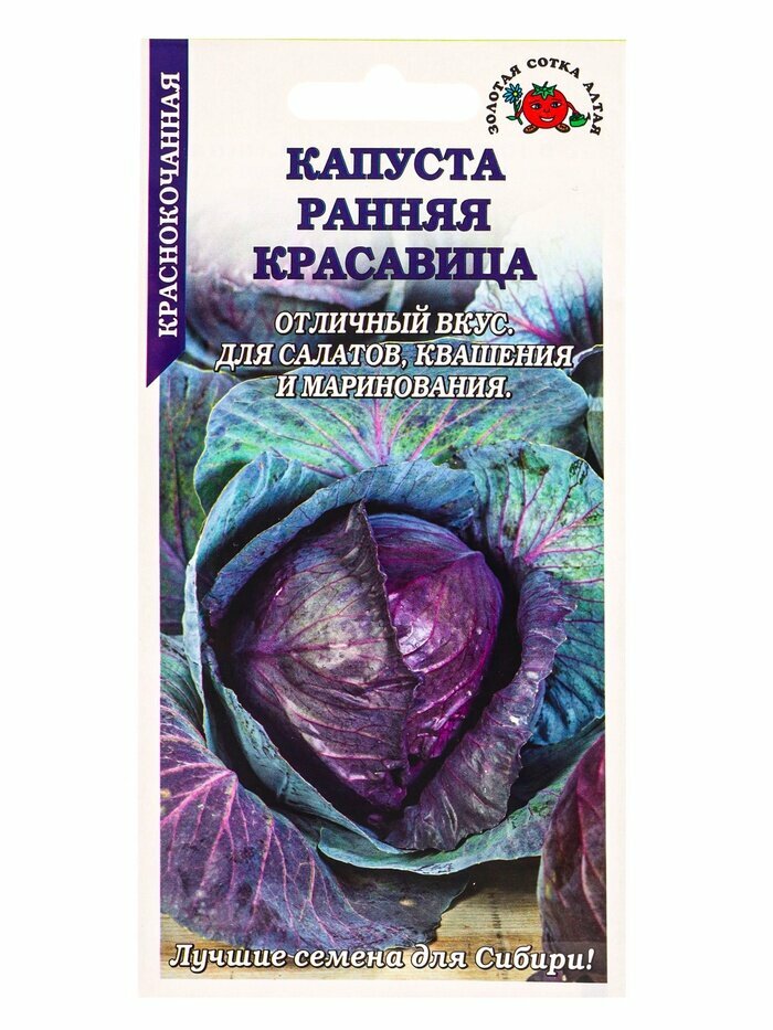 Семена Капуста краснокочанная «Ранняя красавица», 0.3 г, раннеспелая, «Золотая Сотка Алтая»