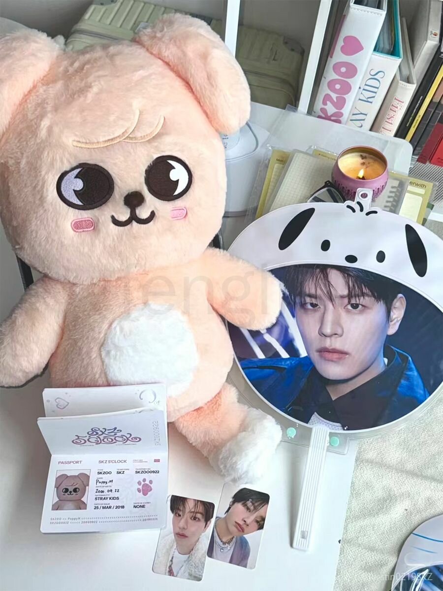 SKZOO 50cm Сидящая Кукла Straykids KARMA