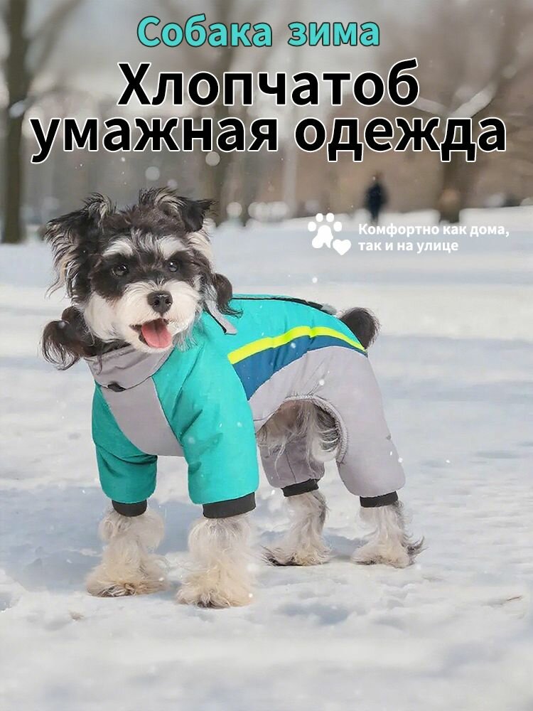 Одежда для собак мелких пород Одежда для собак и кошек , зима размер XXL