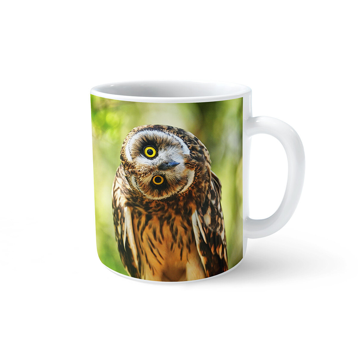 Кружка Первозданная Россия "Сова"