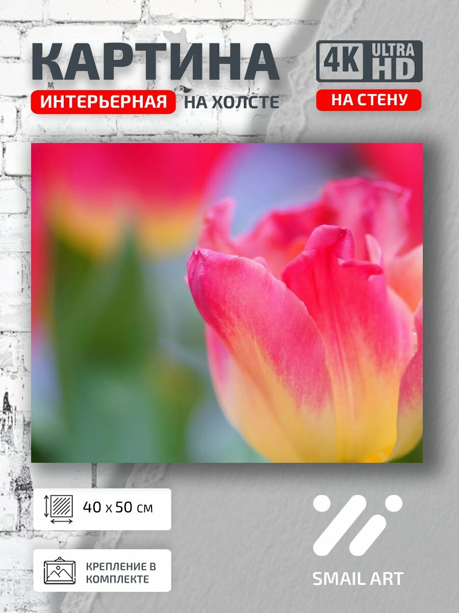 Картина на холсте интерьерная 40 на 50 на стену Тюльпан Landscape для гостиной пейзаж декор