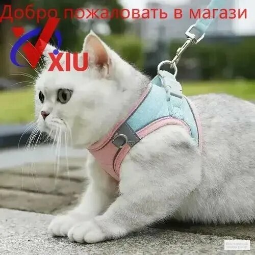 Шлейка для кошек с поводком, розовый, M(Подходит для веса 2-4 кг), шлейка для собак мелких пород