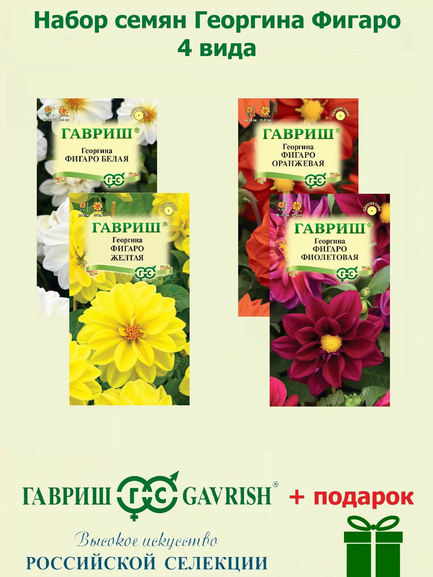 Набор семян Георгина Фигаро 4 вида