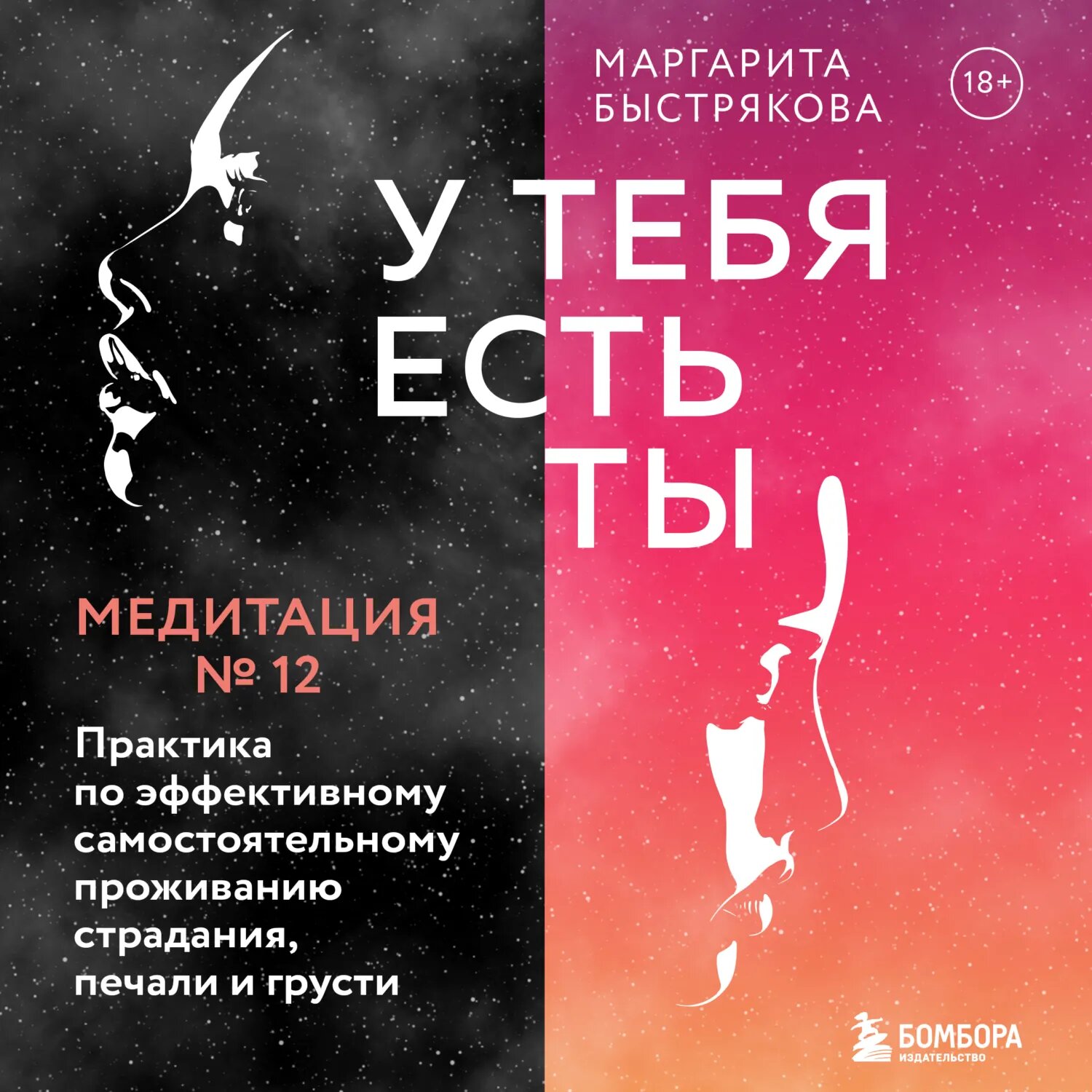 У тебя есть ты. Медитация 12. Практика по эффективному самостоятельному проживанию страдания, печали и грусти [Аудиокнига]