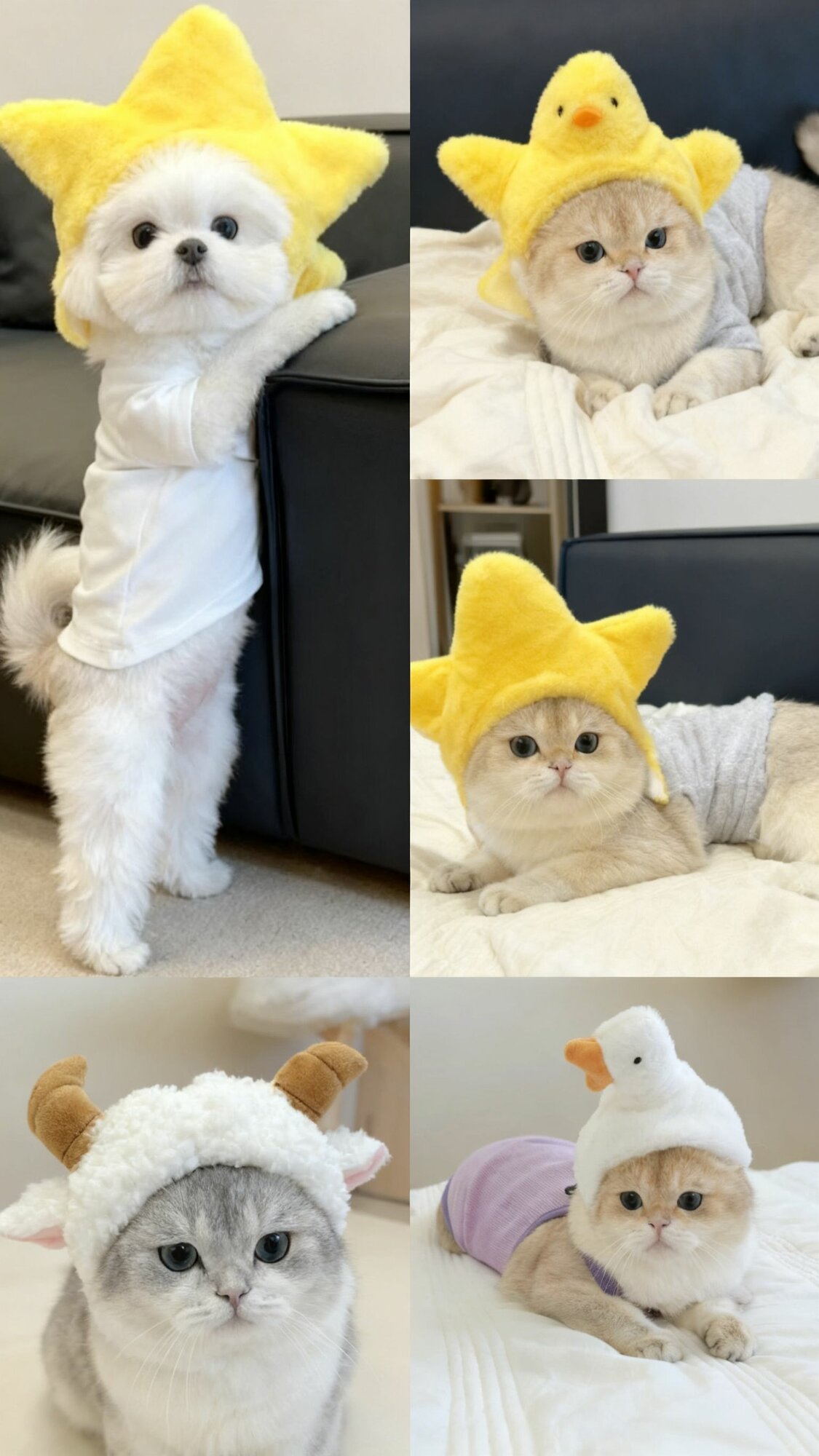 Шапка для кошек и собак мелких пород Головной убор для домашних животных, плетеная шляпа, косплейный реквизит