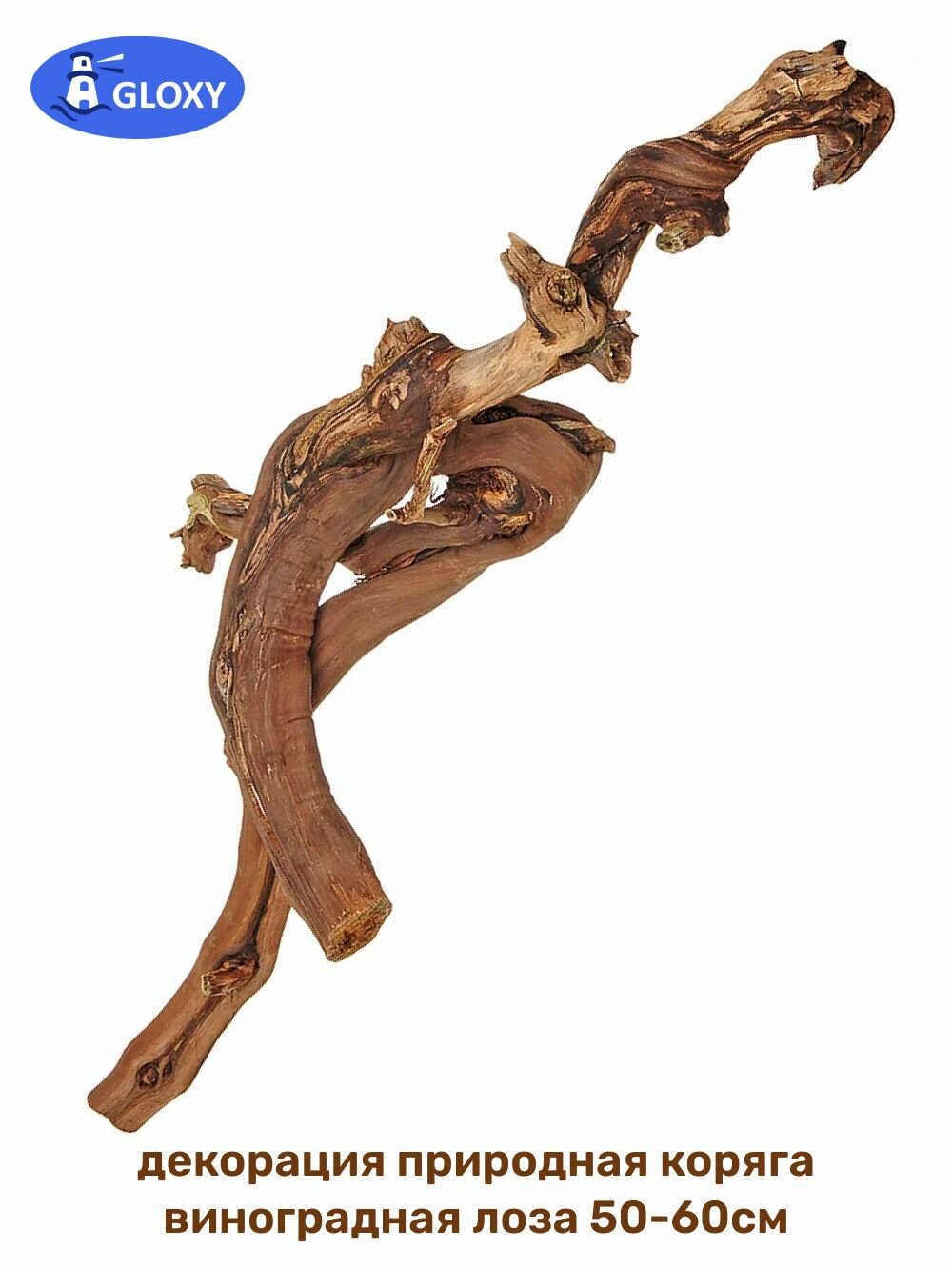 Коряга Gloxy "Виноградная лоза 50-60 см"