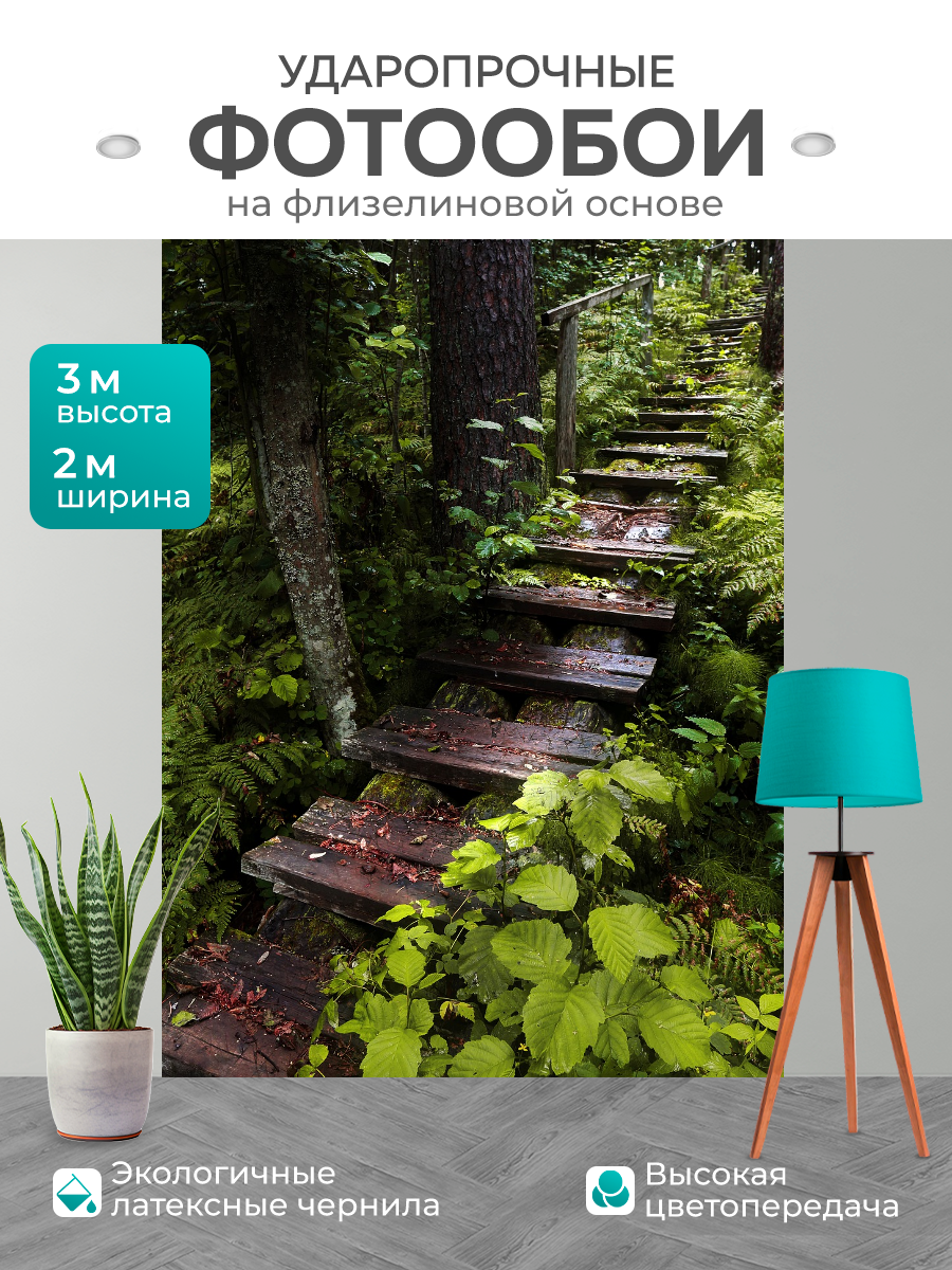 Фотообои моющиеся ударопрочные "Лес, лестница, деревянный" 200x300 см. флизелиновые на стену
