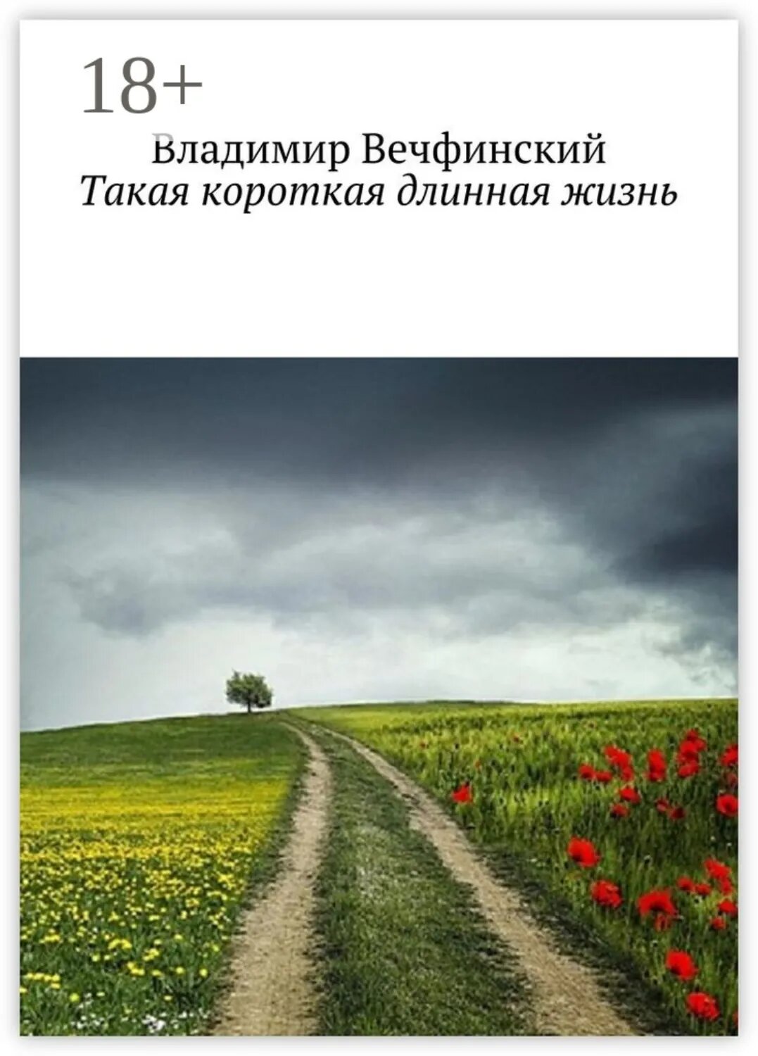 Такая короткая длинная жизнь [Цифровая книга]