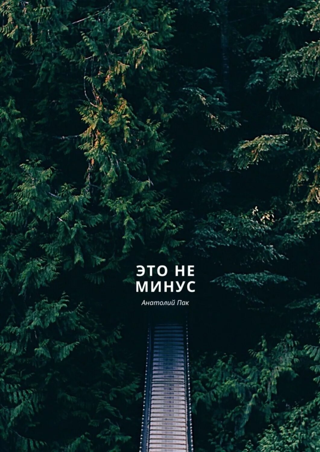 Это не минус [Цифровая книга]