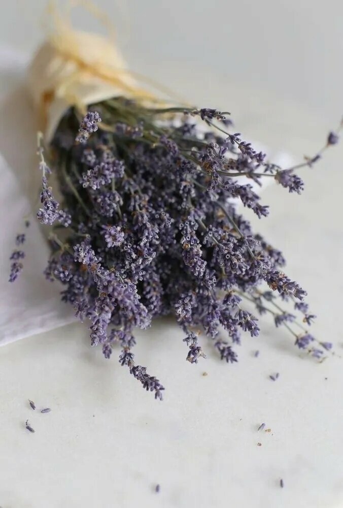 Сухоцветы Лаванда, 30 см, 50 гр, 1 шт
