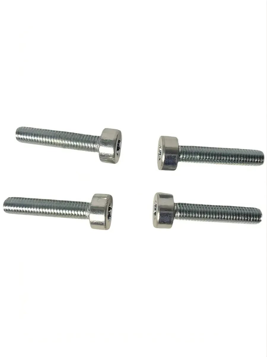 Винт (болт) М5x29,3 мм универсальный (4 шт.), для бензопил, сталь