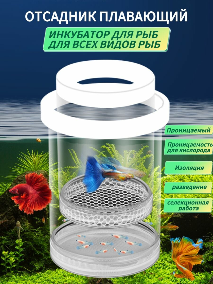 Плавающий инкубатор для разведения рыбы и креветок, плавающий инкубатор, защита мальков, сетчатая клетка для аквариумного нереста, с присоской