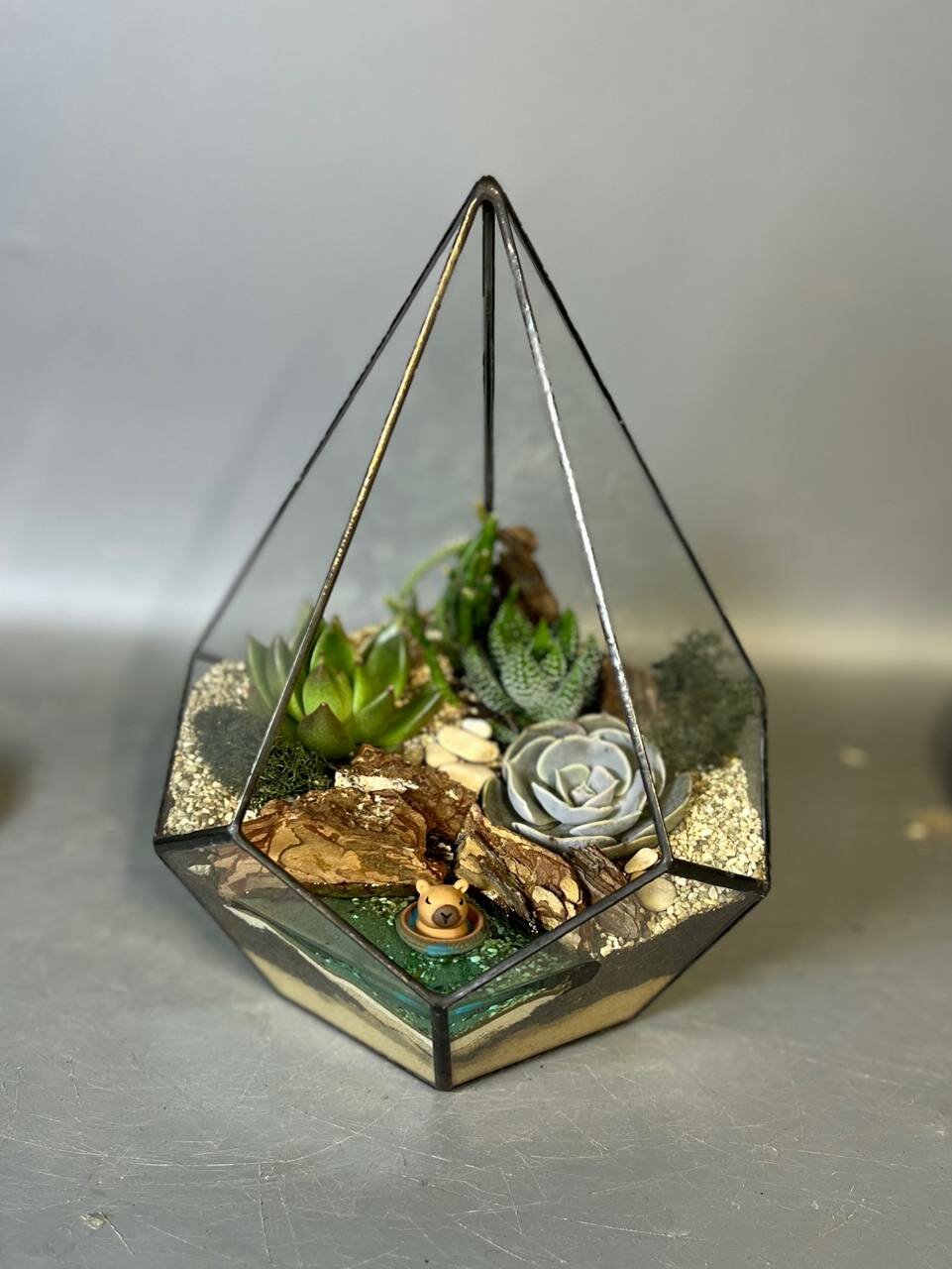 Флорариум с капибарой, суккулентами и имитацией водоема «Капи капля»