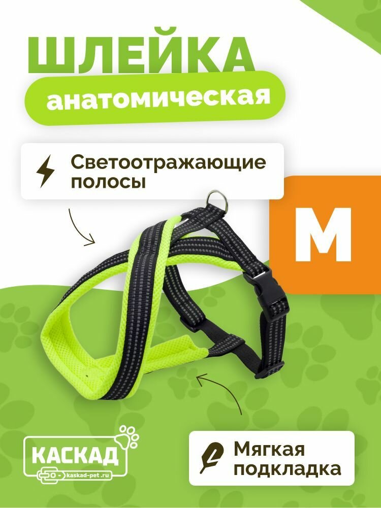 Шлейка для собак анатомическая Каскад, с мягкой подкладкой, зеленая, 2 х 40 х 44-55 см