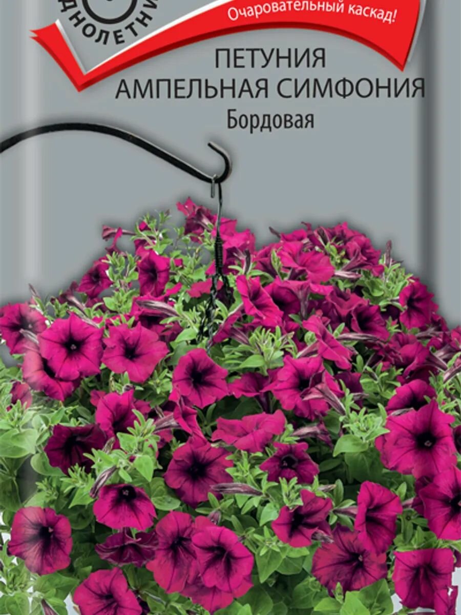 Петуния Симфония Бордовая ампельная 0,01 г, Семена Поиск