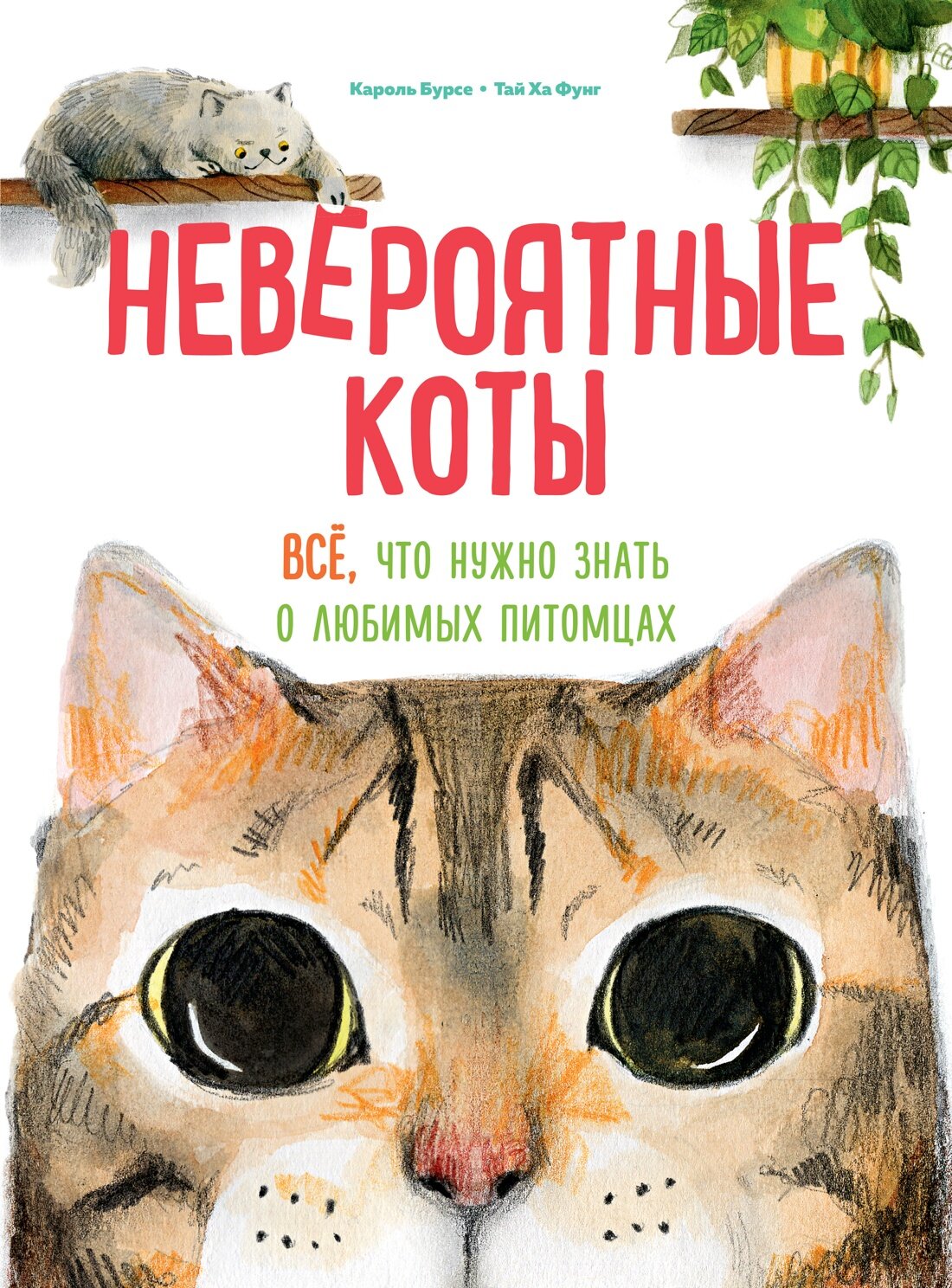 Невероятные коты. Всё, что нужно знать о любимых питомцах / Бурсе К.