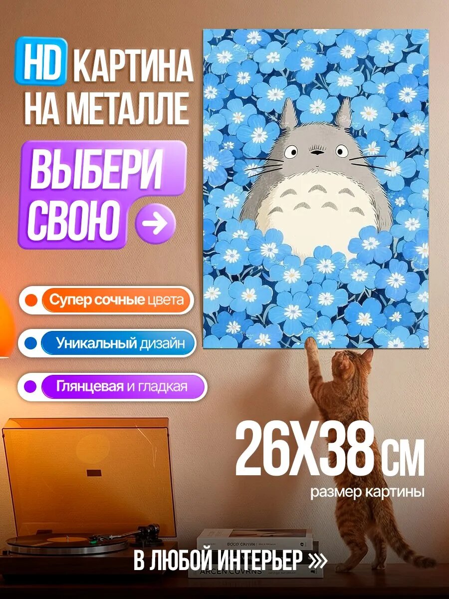 Картина на HD металле Тоторо в цветах