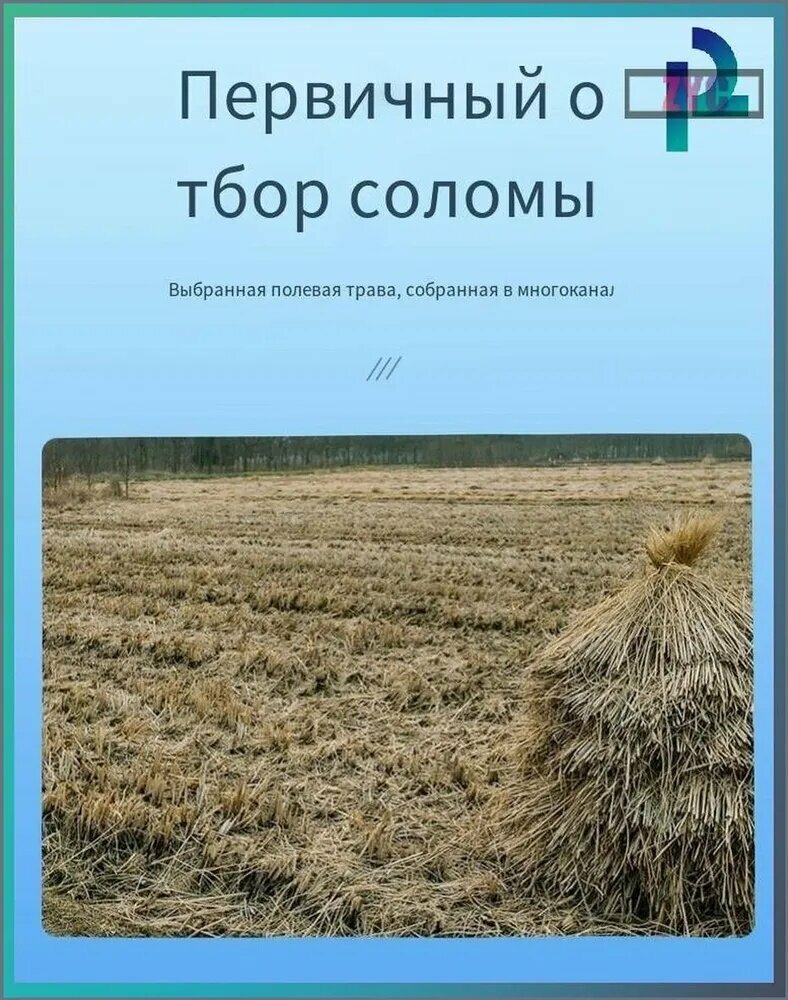 Голубиное гнездо — фото 1
