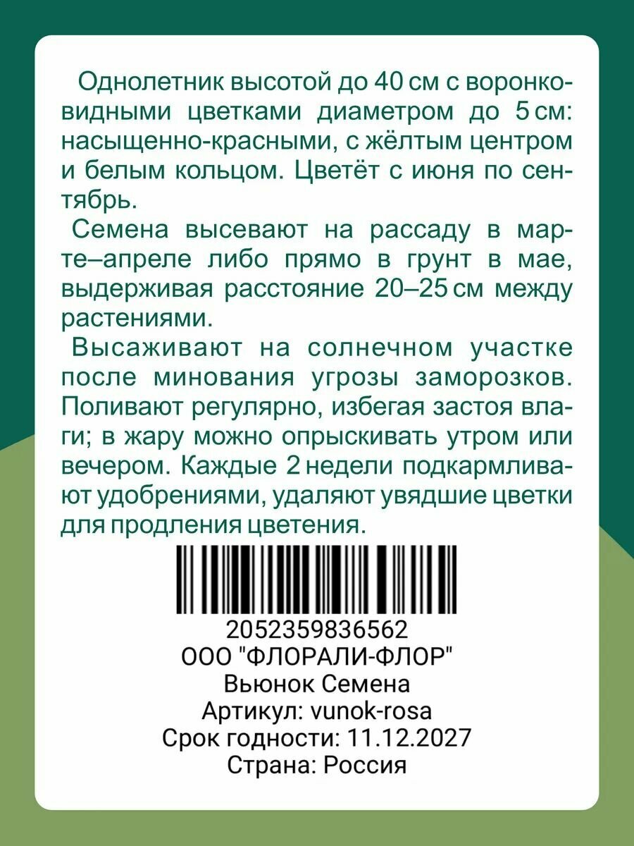 Вьюнок Семена — фото 1