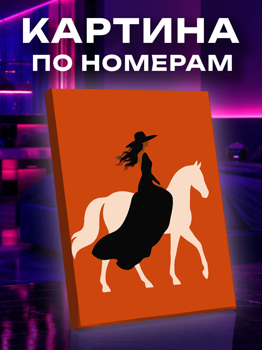 Картина по номерам Всадница на белой лошади