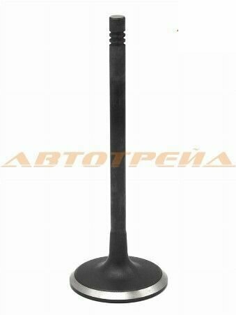 SHINHAN 55557862 Клапан впускной Opel Astra 98-15 / Insignia 08-17 A16XER; Z16XE1; Z16XEP