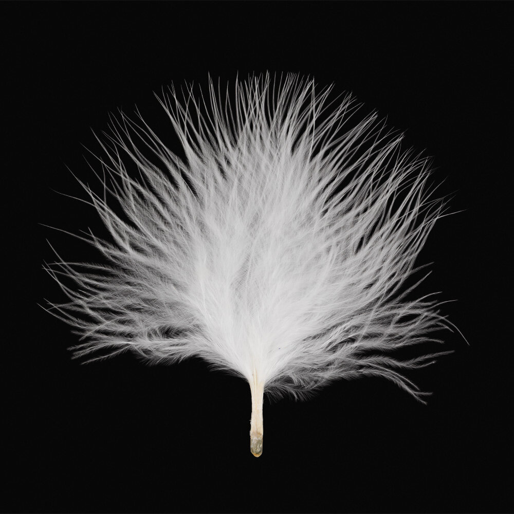 Перья декоративные "Mr.Painter" PLU-03 6 - 10 см 3 г ± 0.5 г 01 Белый