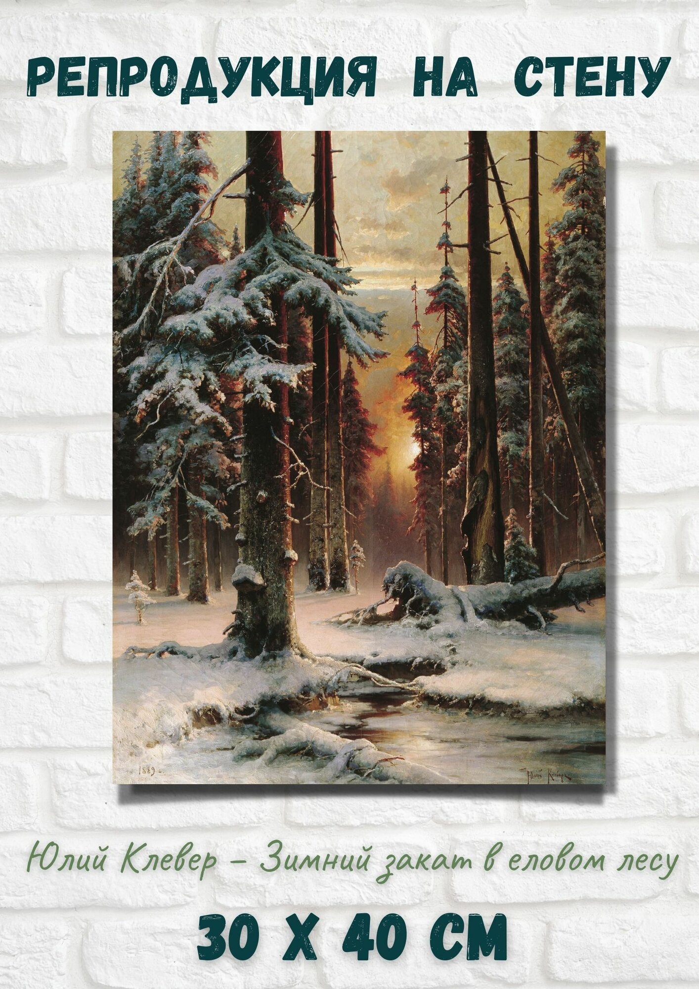 Юлий Клевер - "Зимний закат в еловом лесу" 30х40 репродукция