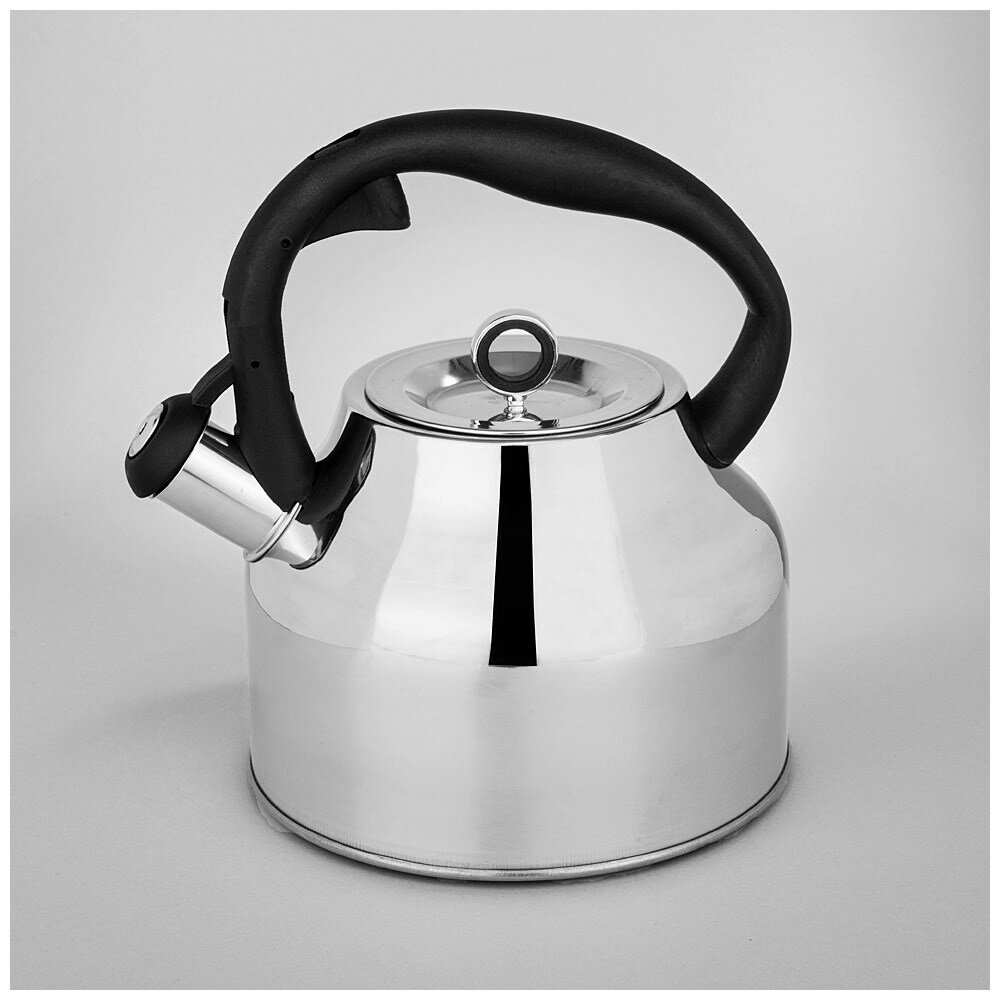 Чайник agness со свистком, 2,8 л