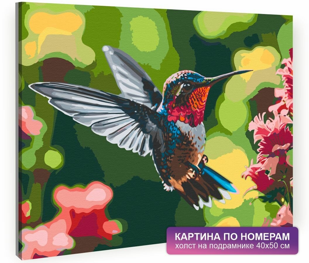 Картина по номерам на холсте с подрамником 40х50 см. Природа, животные, рыбы, птицы. "Колибри", арт. 5135/