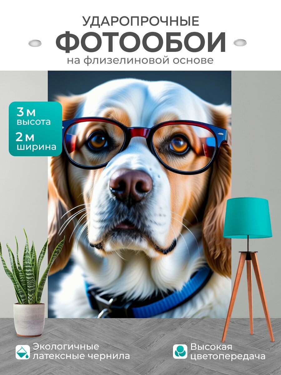 Фотообои моющиеся ударопрочные "Смешная собака в очках" 200x300 см. флизелиновые на стену