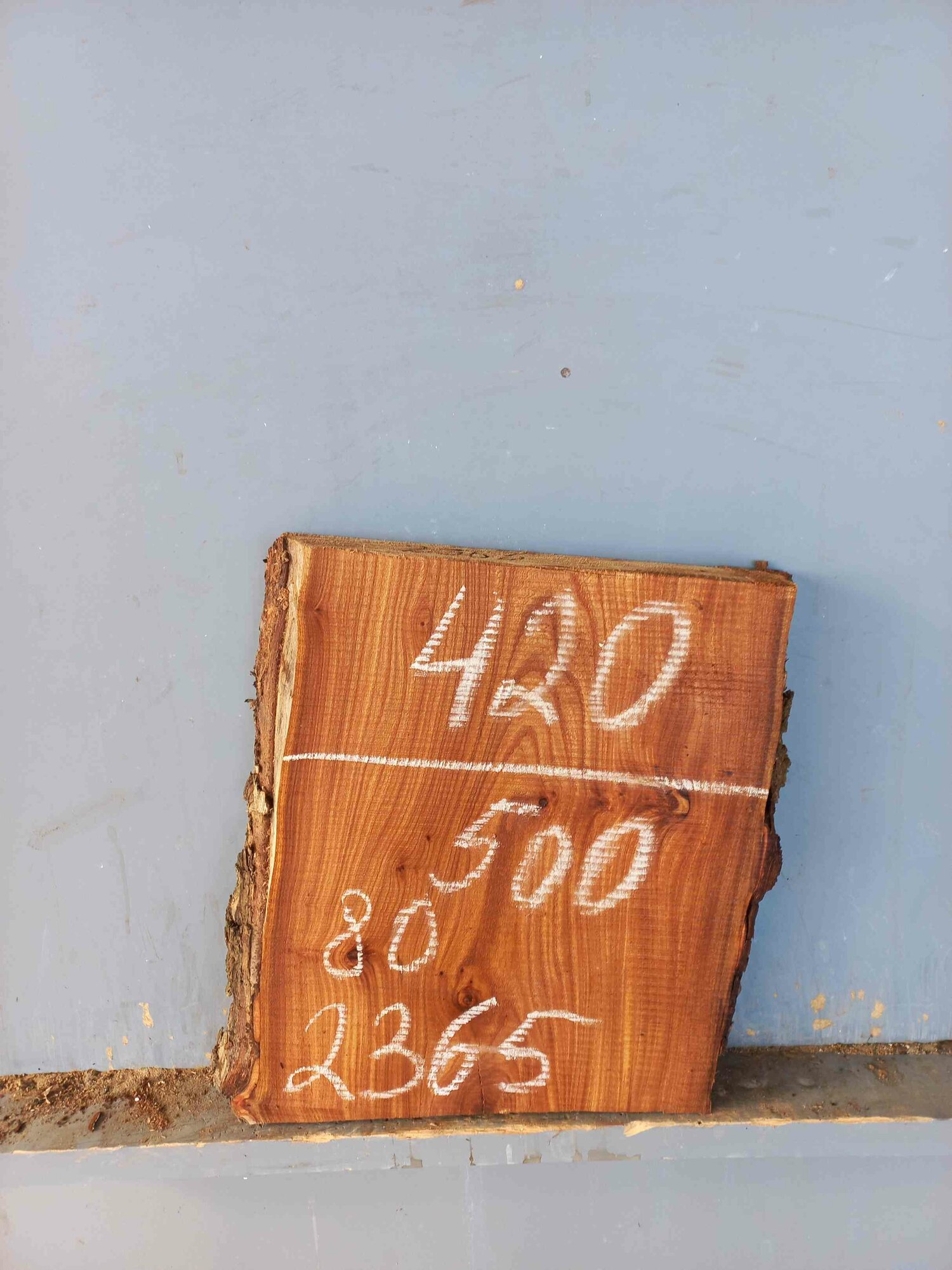 Слэб из дерева твёрдых пород Карагач №2365, 8*42*50 см, ДОКЛЕС