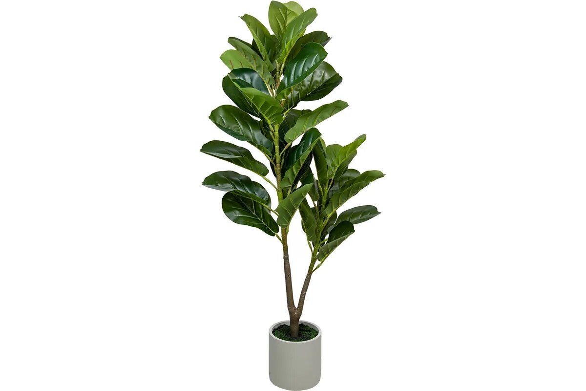 Вещицы Фикус в цементном горшке, Д140 Ш140 В960 Mia2