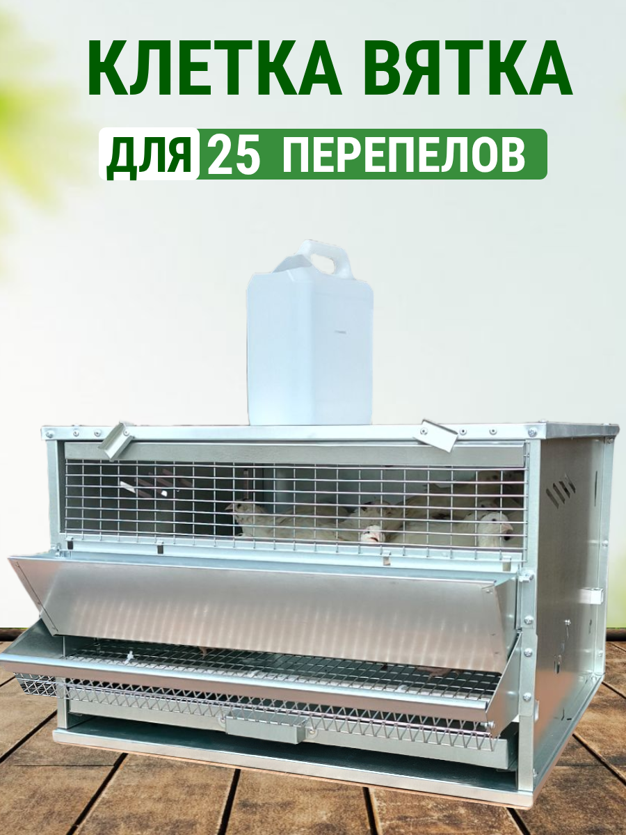 Клетка для перепелов на 25 голов Вятка в полной комплектации
