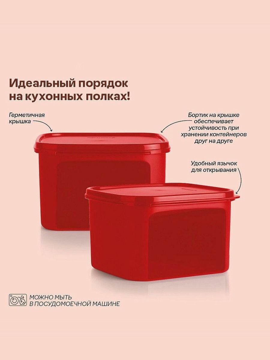 Контейнер Компакт (2,5 л), 2 шт, в коробке, Tupperware