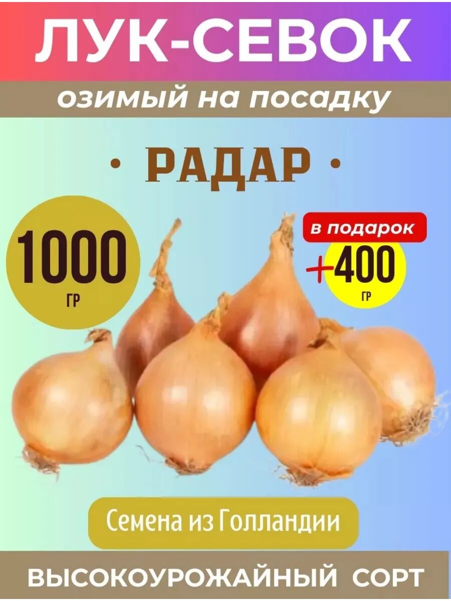 Лук-севок Радар озимый на посадку, Голландия 1кг +400гр