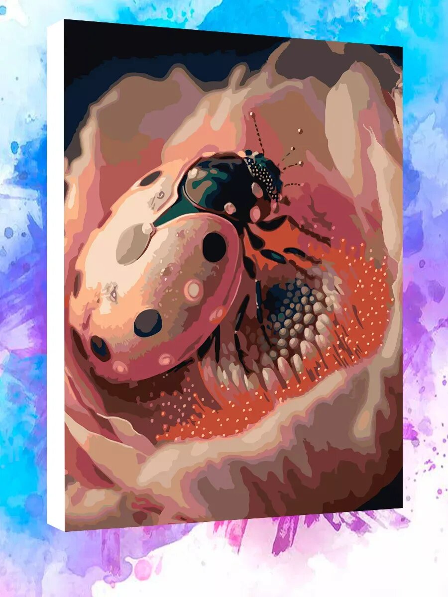 Картина по номерам Божья коровка Насекомые