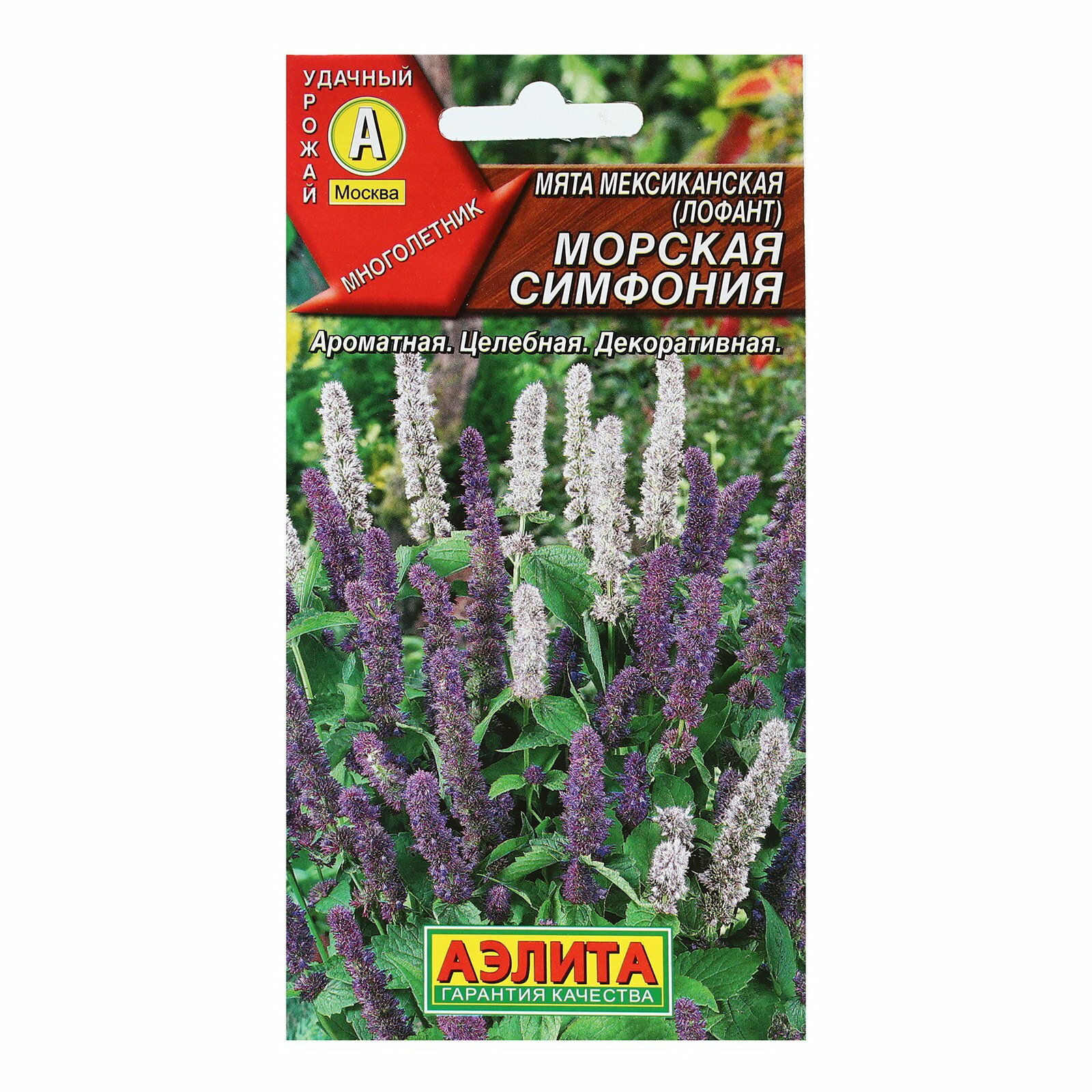 Семена Мята мексиканская "Морская симфония", 0.05 г, посев на рассаду: апрель, 3 шт.