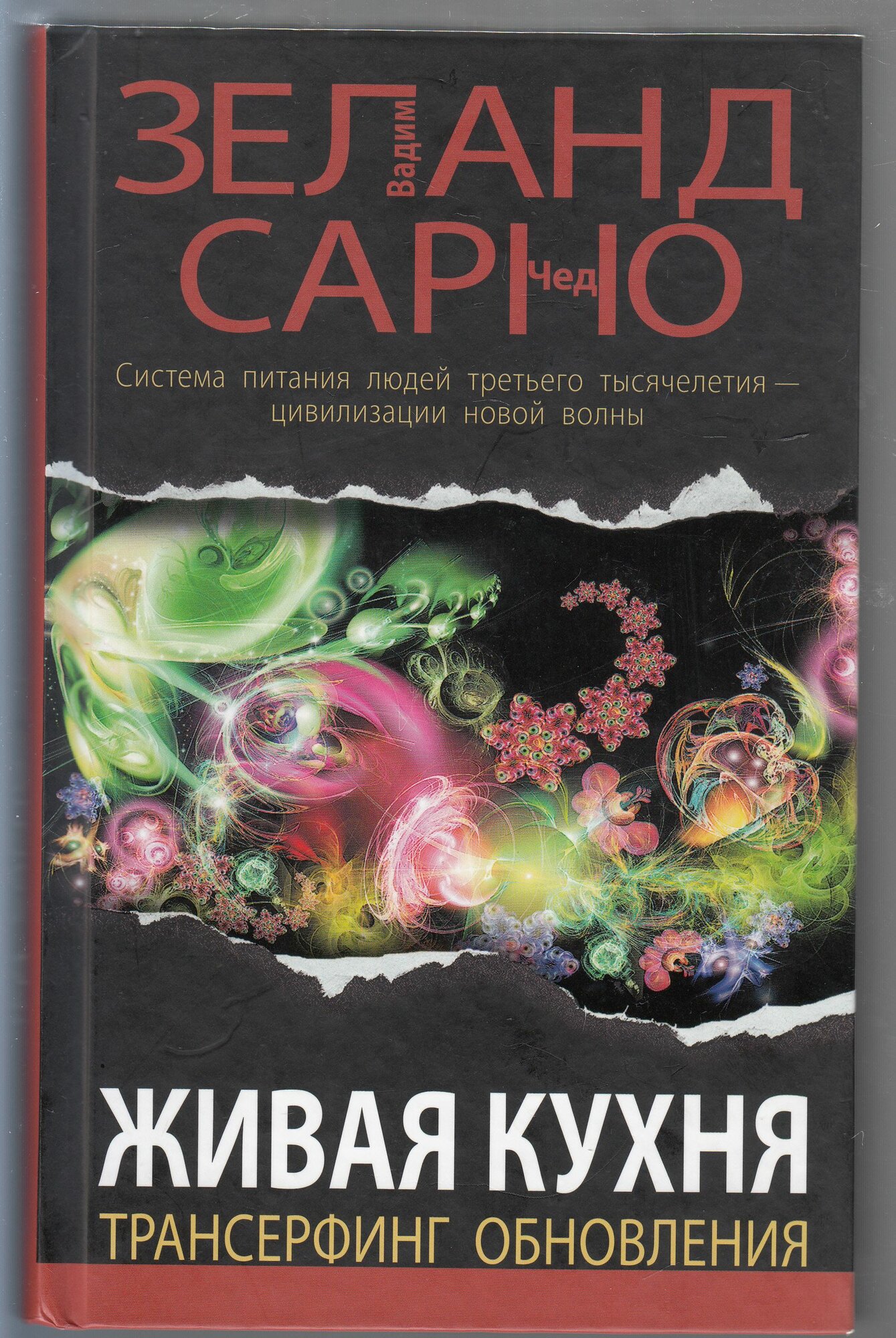 Вадим Зеланд, Чед Сарно. Живая кухня. Трансерфинг обновления