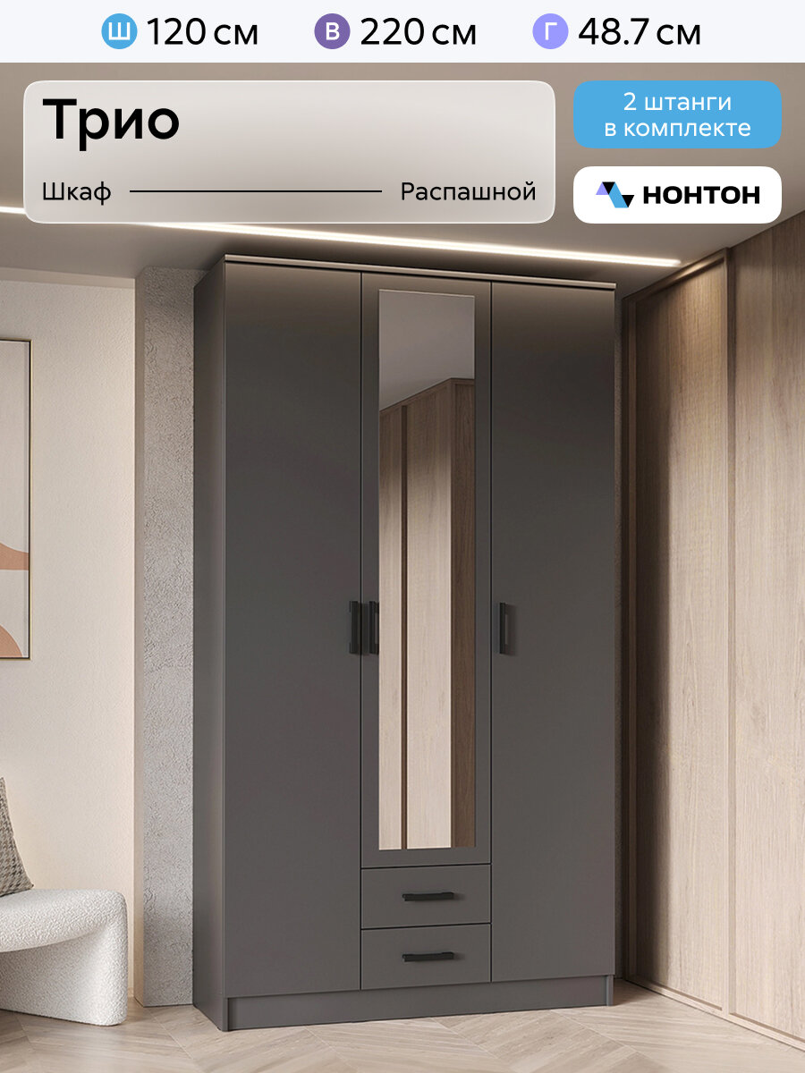 Шкаф для одежды Нонтон Трио, 120x48x220 см, 1 зеркало, 2 ящика, графит