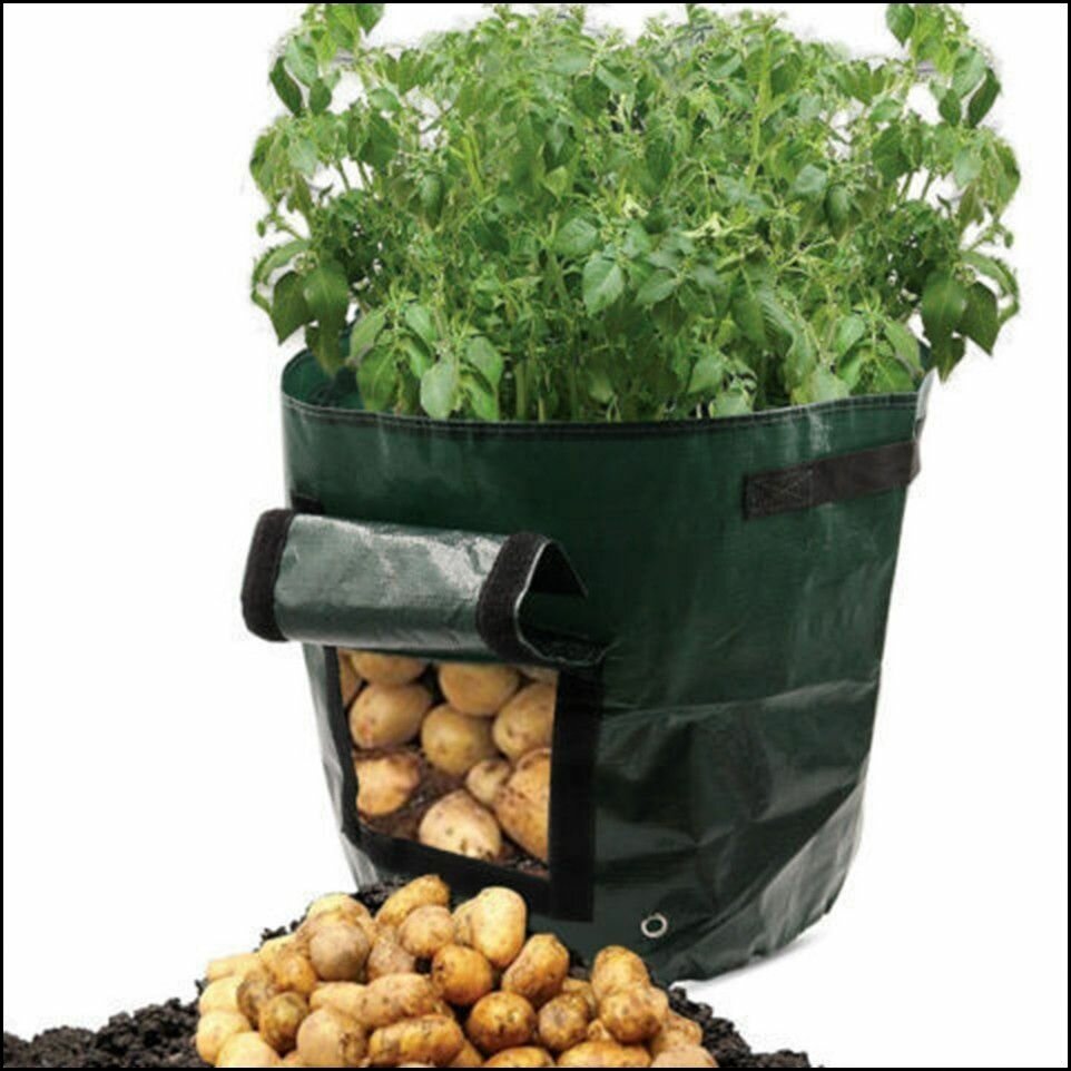 Мешок для посадки картофеля 3 шт.