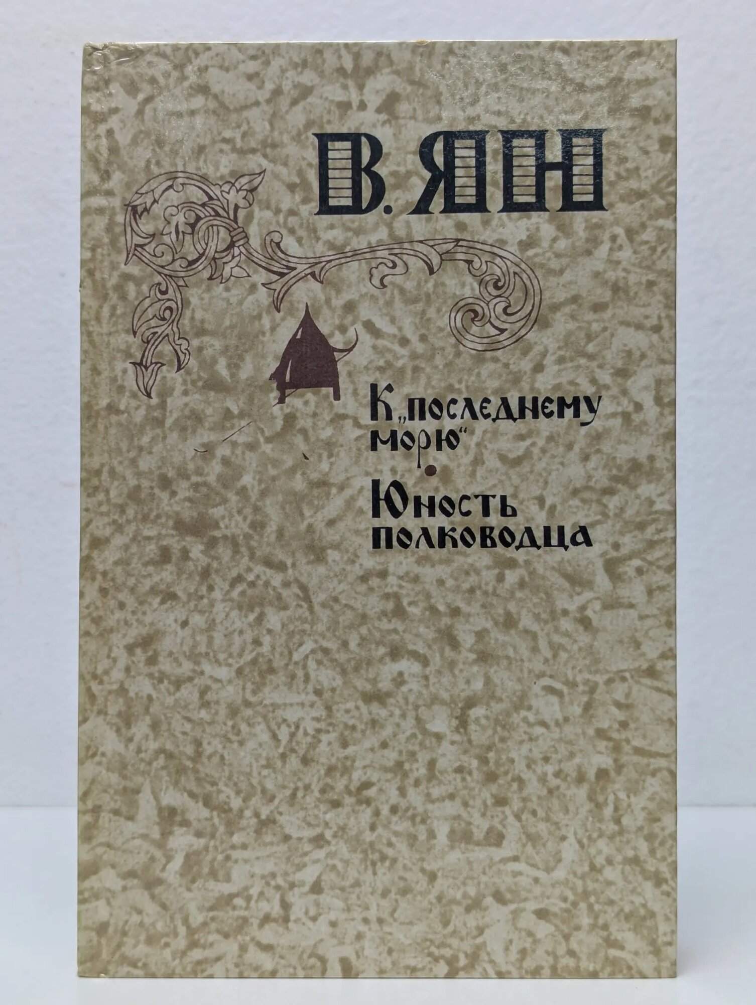 К последнему морю. Юность полководца Ян Василий Григорьевич 1981