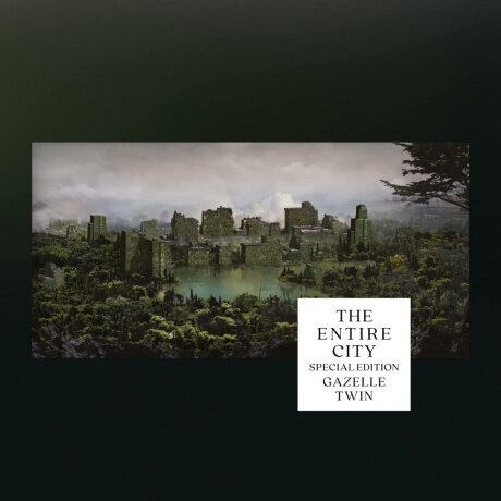 Виниловые пластинки, Anti-Ghost Moon Ray Records, GAZELLE TWIN - The Wastelands (LP)