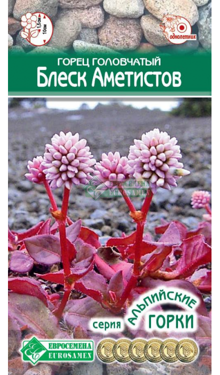 Семена Горца головчатого "Блеск Аметистов" (0,1 г) серия "Альпийские горки"
