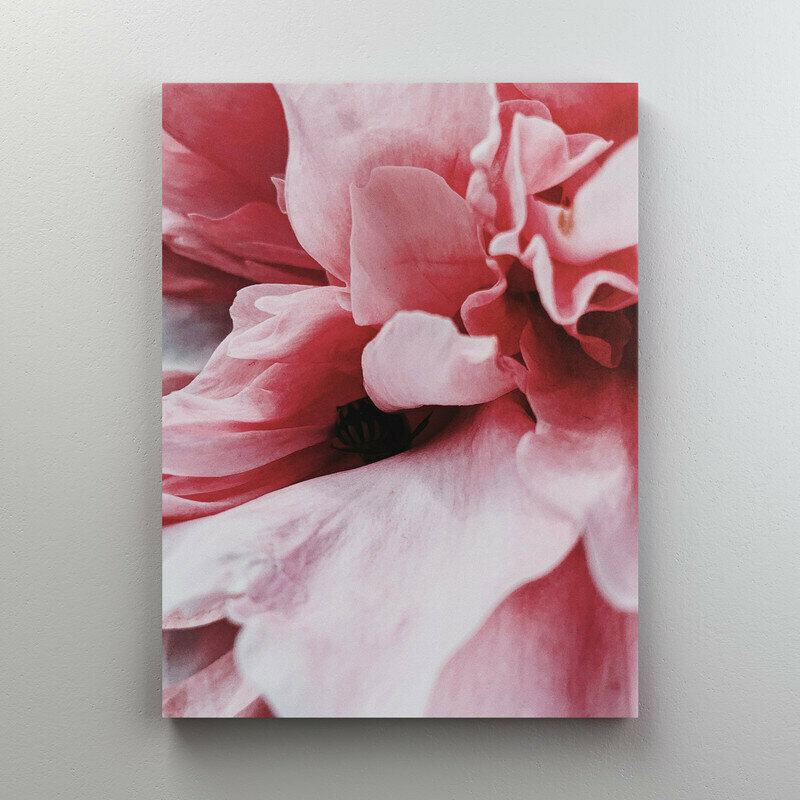 Интерьерная картина на холсте "Цветущие розовые лепестки пиона в саду" размер 22x30 см