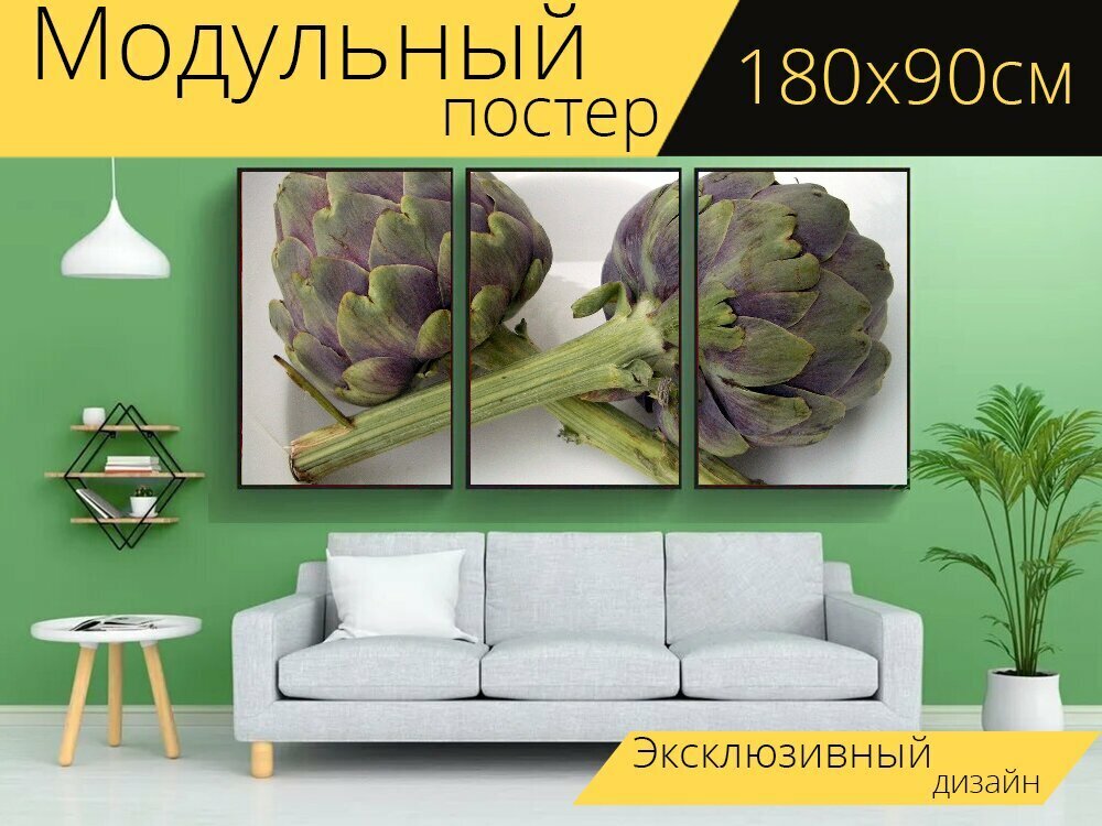Модульный постер "Артишоки, овощи, зеленый" 180 x 90 см. для интерьера