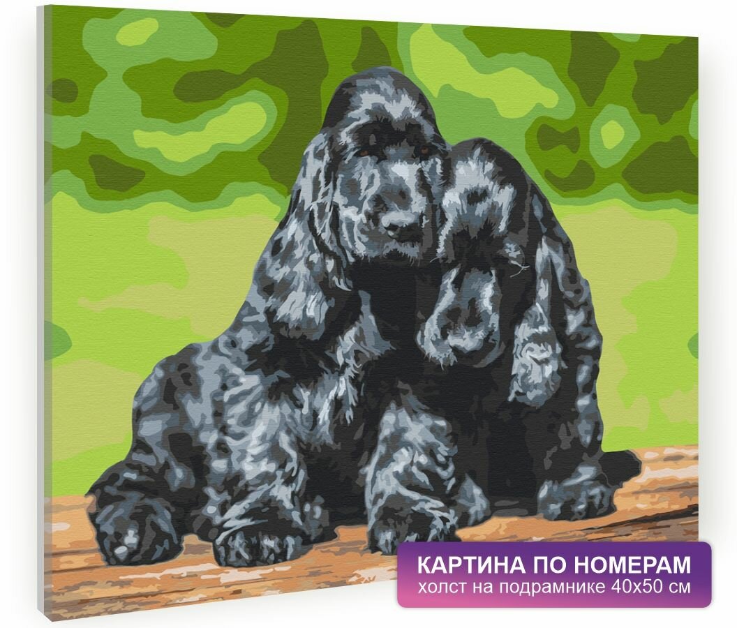 Картина по номерам на холсте с подрамником 40х50 см. Природа, животные, рыбы, птицы. Собаки, щенки. "Спаниель ", арт. 4469/