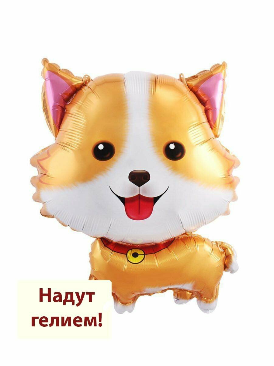 Воздушный шар с гелием, фольгированная фигура корги в надутом виде